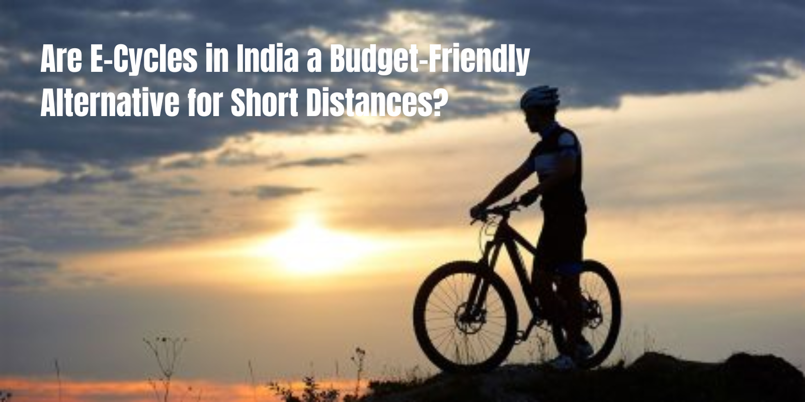 Lilypad - 2w EV Marketplace